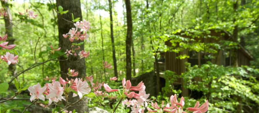 Photo Gallery – Longbow Resort