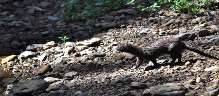 Photo Gallery – Longbow Resort